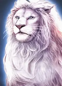 Novibet — Iniciar sesión, 100% Hasta CLP$200.000